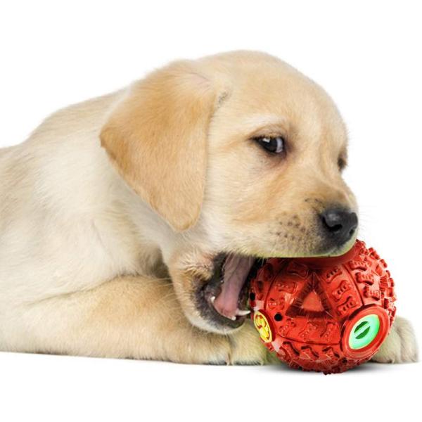 SunGrowドッグフードディスペンサーボールです。おやつを赤いボールに入れて遊ばせることができます。ペットはボールを転がしたり動かして中のえさを取り出す必要があります。これによりゆっくりとしたペースでえさを食べるため消化が良くなり、肥満を...