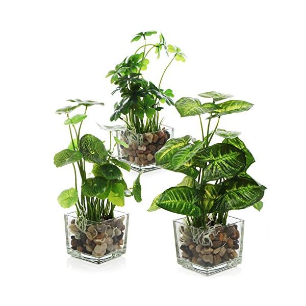 この 3 つの人工植物のセットで、ご自宅や職場に鮮やかな緑を少し加えましょう。これらの植物は、プランター内の川の小石や広がった根など、リアルなディテールが特徴です。それぞれの植物は異なるスタイルを特徴としており、1 つはサトイモ、もう 1 ...