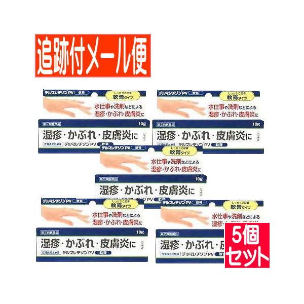【5個セット】【第(2)類医薬品】デルマレチゾンPV軟膏 １０ｇ 新新薬品【メール便送料無料/5set】