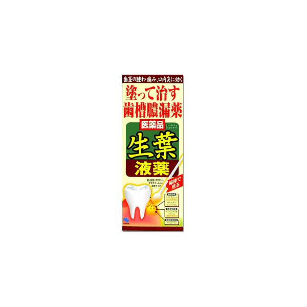 生葉液薬は歯茎の腫れ、うみ、痛み、むすがゆさ、口臭など歯肉炎・歯槽膿漏における諸症状、口内炎に優れた効きめがあります。 ・ 生葉液薬は液体タイプなので、4つの有効成分を歯周ポケットにもすばやく行きわたらせ、効果的に作用し、優れた効きめを発揮...