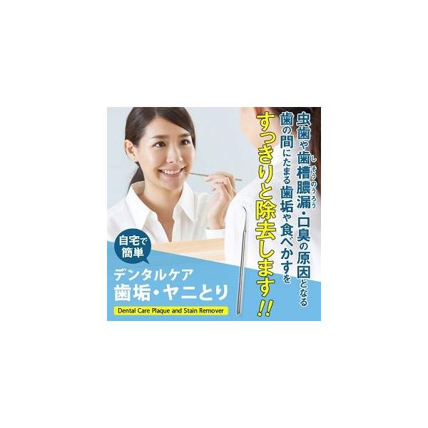 茶しぶにも！口臭予防に最適な歯垢・ヤニとりです。虫歯や歯槽膿漏・口臭の原因となる、歯の間にたまる歯垢や食べかすをすっきりと除去します。さびにくいステンレスタイプです。【材質】ステンレス（SUS410）パキスタン製
