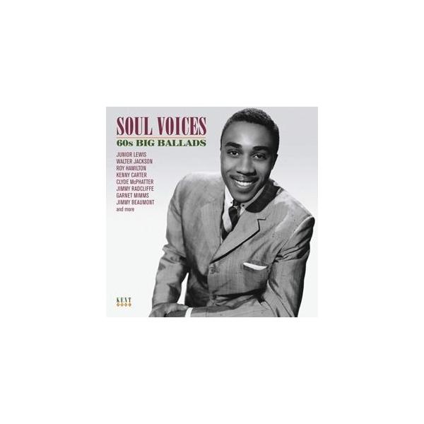 【発売日：2020年04月30日】種別:CD 【輸入盤】 洋楽ポップス 発売日:2020/04/30 登録日:2020/05/01 ヴァリアス ビッグ・ヴォイシズ：60TH・ビッグ・バラッズ 内容:1. Forget The Girl - ...