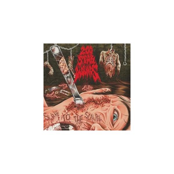 【発売日：2023年11月03日】種別:LP 【輸入盤】 洋楽ハードロック/ヘヴィメタル 発売日:2023/11/03 登録日:2023/09/05 200・スタブ・ウンズ スレイヴ・トゥ・ザ・スカルポル（カラー） 内容:［Side A］1...