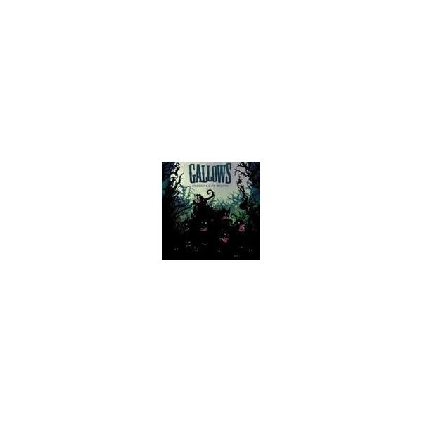 【発売日：2007年07月10日】種別:CD 【輸入盤】 洋楽ロック 発売日:2007/07/10 登録日:2012/07/02 ギャロウズ オーケストラ・オブ・ウォルヴズ