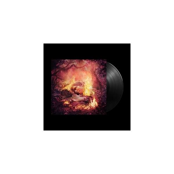 【発売日：2023年05月26日】種別:LP 【輸入盤】 洋楽ロック 発売日:2023/05/26 登録日:2023/05/02 ウィーザー SNZN：サマー ウィーザー CD 内容:［Side A］1. Lawn Chair2. Reco...