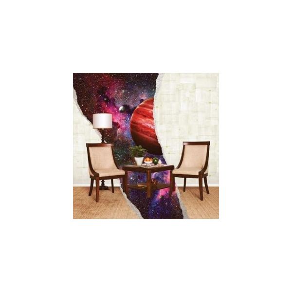 【発売日：2018年04月27日】種別:CD 【輸入盤】 洋楽ロック 発売日:2018/04/27 登録日:2018/02/27 レインボー・キトゥン・サプライズ ハウ・トゥ：フレンド、ラヴ、フリーフォール 内容:1.Pacific Lov...