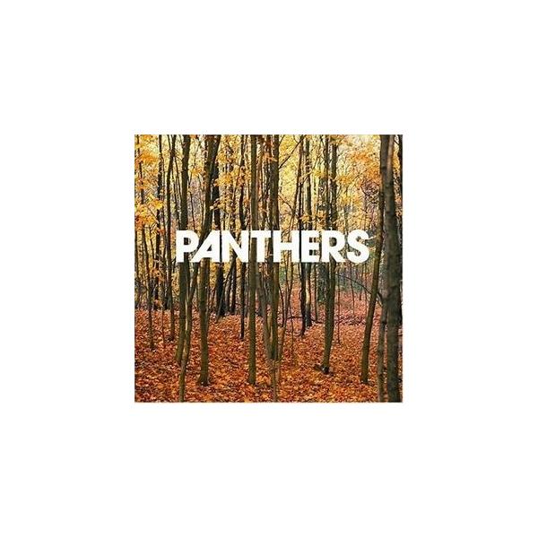 【発売日：2004年11月15日】種別:CD 【輸入盤】 洋楽ロック 発売日:2004/11/15 登録日:2012/07/02 パンサーズ シングス・アー・ストレンジ