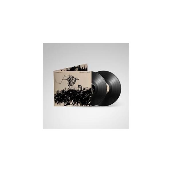 【発売日：2023年06月02日】種別:2LP 【輸入盤】 洋楽ハードロック/ヘヴィメタル 発売日:2023/06/02 登録日:2023/03/24 アヴェンジド・セヴンフォールド ライフ・イズ・バット・ア・ドリーム アヴェンジド・セヴン...