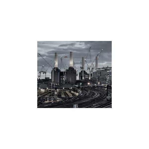 【発売日：2022年09月16日】種別:CD 【輸入盤】 洋楽ロック 発売日:2022/09/16 登録日:2022/07/08 ピンク・フロイド アニマルズ（2018・リミックス） ピンク・フロイド CD Pink Floyd PinkF...