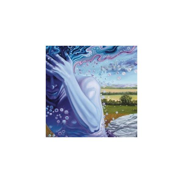 【発売日：2020年07月17日】種別:CD 【輸入盤】 洋楽ロック 発売日:2020/07/17 登録日:2021/01/08 カンサス アブセンス・オブ・プレゼンス カンサス CD