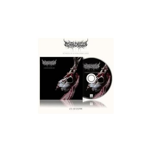 【発売日：2026年10月23日】種別:CD 【輸入盤】 洋楽ハードロック/ヘヴィメタル 発売日:2026/10/23 登録日:2026/08/28 メンタル・クルーエルティ エコーズ・オブ・ア・フォーローン・ランド 内容:1. Welte...