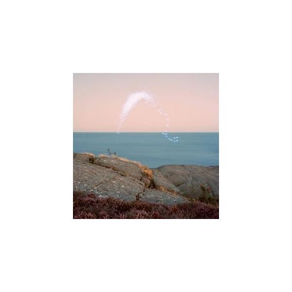 【発売日：2021年02月19日】種別:CD 【輸入盤】 洋楽ロック 発売日:2021/02/19 登録日:2021/05/21 カサンドラ・ジェンキンス アン・オーバービュー・オン・フェノメナル・ネイチャー 内容:1. Michelang...