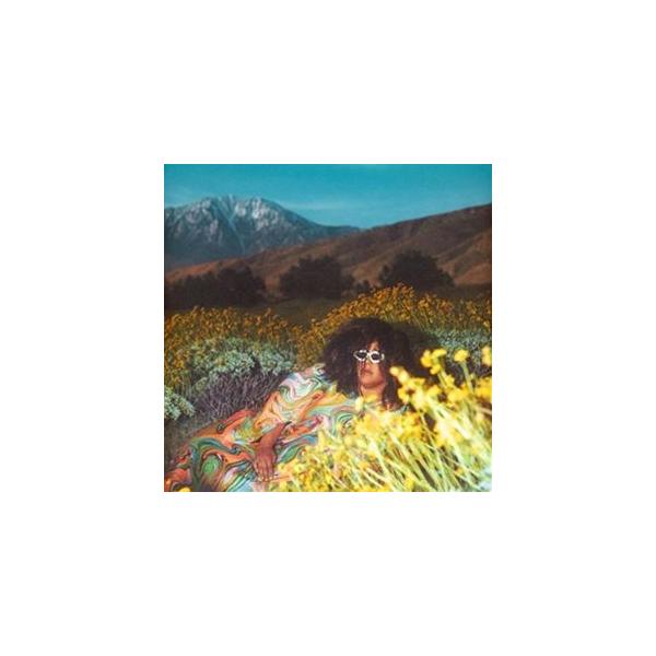 【発売日：2024年02月02日】種別:CD 【輸入盤】 洋楽ロック 発売日:2024/02/02 登録日:2023/12/01 ブリタニー・ハワード ホワット・ナウ 内容:1. Earth Sign2. I Don’t3. What No...