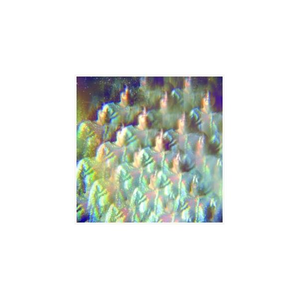 【発売日：2012年09月11日】種別:CD 【輸入盤】 洋楽ロック 発売日:2012/09/11 登録日:2012/07/26 スティーリング・シープ イントゥ・ザ・ダイアモンド・サン 内容:1. The Garden2. Shut Ey...