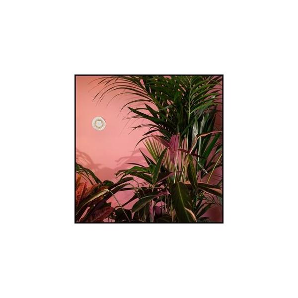 【発売日：2014年05月27日】種別:CD 【輸入盤】 洋楽その他 発売日:2014/05/27 登録日:2015/06/03 ビーティー・ハート ミクスド・ブレッシング 内容:1. Banana Bread （Album Version...