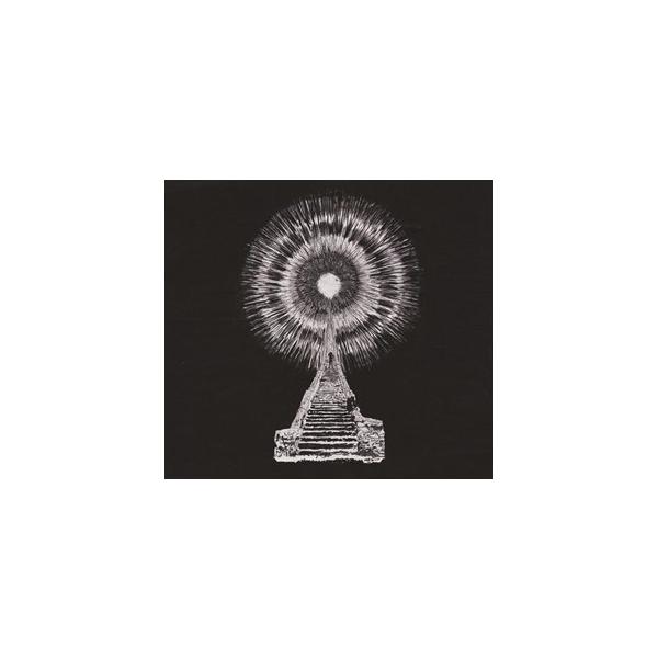 【発売日：2016年11月18日】種別:2LP 【輸入盤】 洋楽ハードロック/ヘヴィメタル 発売日:2016/11/18 登録日:2016/10/26 ワウンデッド・キングス ビジョンズ・イン・ボーン 内容:1. Beast2. Vultu...