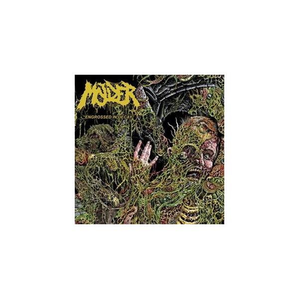 【発売日：2022年08月05日】種別:CD 【輸入盤】 洋楽ハードロック/ヘヴィメタル 発売日:2022/08/05 登録日:2022/05/18 モルダー イングロースト・イン・ディケイ 内容:1. Glutinous Remains2...