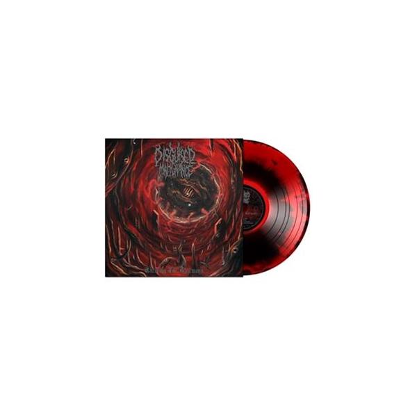 【発売日：2023年09月29日】種別:LP 【輸入盤】 洋楽ハードロック/ヘヴィメタル 発売日:2023/09/29 登録日:2023/07/21 ディスガイズド・マリグナンシー エンタリング・ザ・ゲートウェイズ（カラー） 内容:［Sid...