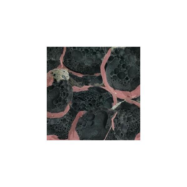 【発売日：2022年02月18日】種別:CD 【輸入盤】 洋楽ロック 発売日:2022/02/18 登録日:2022/02/25 エリック・シュナックス セイ・ローラ 内容:1. Hello How? And Hey2. Your New ...