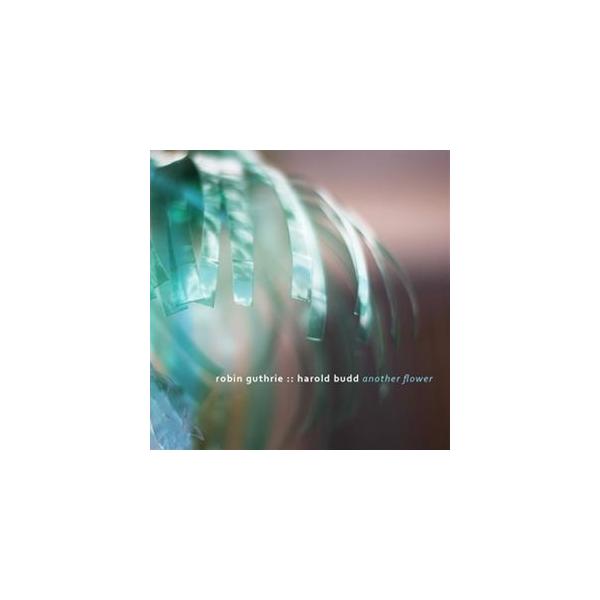 【発売日：2020年12月04日】種別:CD 【輸入盤】 洋楽ロック 発売日:2020/12/04 登録日:2020/12/11 ロビンガスリー／ハロルド・バッド アナザー・フラワー（デジパック）