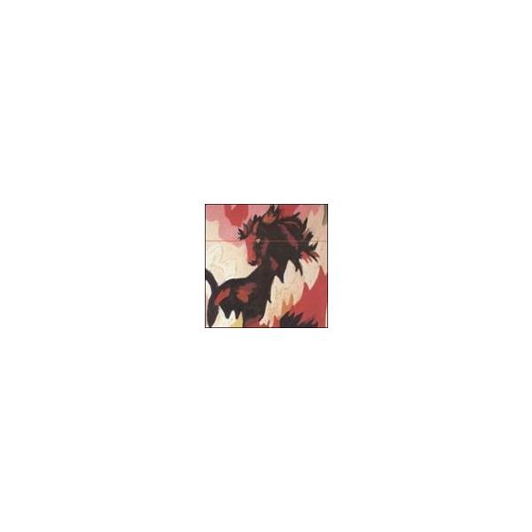 【発売日：2001年02月27日】種別:CD 【輸入盤】 洋楽ロック 発売日:2001/02/27 登録日:2012/07/02 アラブ・ストラップ レッド・スレッド