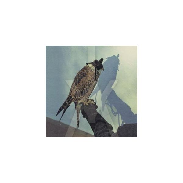 【発売日：2013年02月19日】種別:CD 【輸入盤】 洋楽ロック 発売日:2013/02/19 登録日:2012/12/21 アイスエイジ ユアー・ナッシング 内容:1. Ecstasy2. Coalition3. Interlude4...