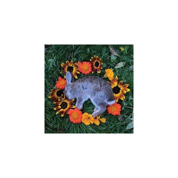 【発売日：2021年10月29日】種別:CD 【輸入盤】 洋楽ハードロック/ヘヴィメタル 発売日:2021/10/29 登録日:2021/09/14 モノロード ユア・タイム・トゥ・シャイン 内容:1. The Weary2. To Eac...