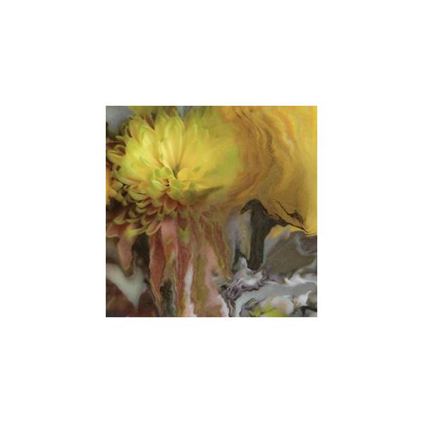 【発売日：2023年05月12日】種別:CD 【輸入盤】 洋楽ブルース/ゴスペル 発売日:2023/05/12 登録日:2023/02/16 パーカー・ミルサップ ウィルダネス・ウィズイン・ユー 内容:1. Greetings and Th...