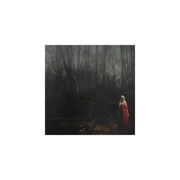 【発売日：2026年09月04日】種別:LP 【輸入盤】 洋楽ハードロック/ヘヴィメタル 発売日:2026/09/04 登録日:2026/05/21 156／サイレンス フロム・ア・ディスタンス（オレンジ・アンド・レッド） 内容:1. Co...