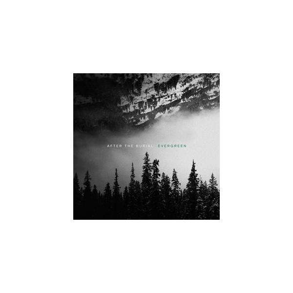 【発売日：2019年05月31日】種別:CD 【輸入盤】 洋楽ハードロック/ヘヴィメタル 発売日:2019/05/31 登録日:2019/03/27 アフター・ザ・ブリアル エヴァーグリーン 内容:1. Behold The Crown2....