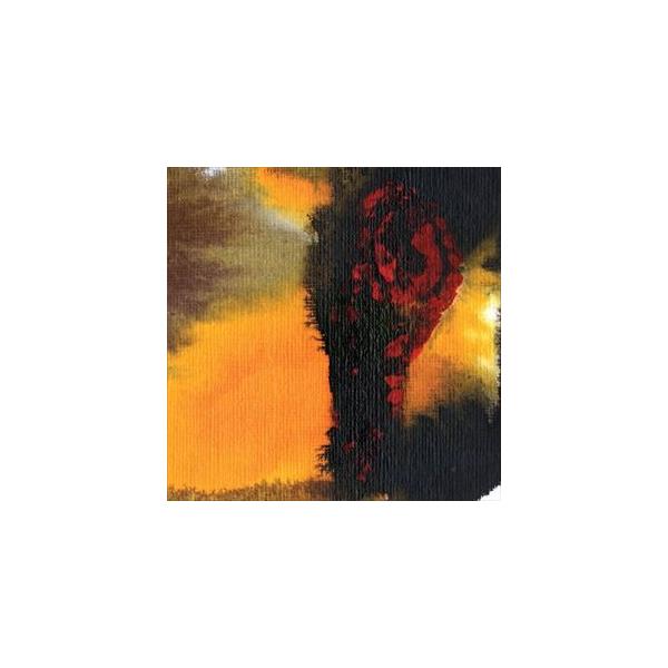 【発売日：2015年03月31日】種別:CD 【輸入盤】 ジャズ・フュージョン海外ジャズ 発売日:2015/03/31 登録日:2015/02/05 ポーラー・ベア セイム・アズ・ユー 内容:1. Life Love And Light2....