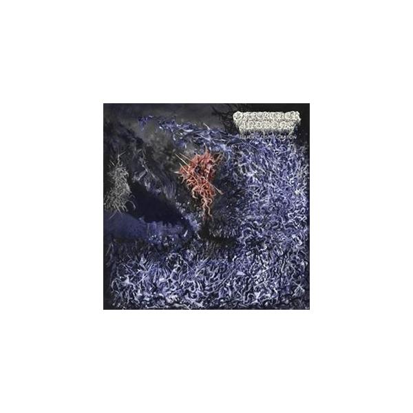 【発売日：2020年11月13日】種別:CD 【輸入盤】 洋楽ハードロック/ヘヴィメタル 発売日:2020/11/13 登録日:2020/12/04 オブ・フェザー＆ボーン サルフュリク・ディスインテグレーション