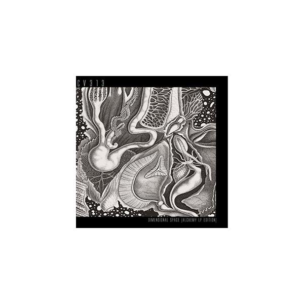 【発売日：2017年01月13日】種別:CD 【輸入盤】 洋楽その他 発売日:2017/01/13 登録日:2017/01/13 CV313 ディメンショナル・スペース