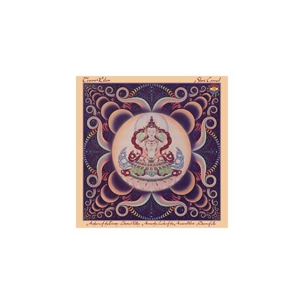 【発売日：2024年12月06日】種別:LP 【輸入盤】 クラシックその他 発売日:2024/12/06 登録日:2024/10/11 テリー・ライリー シュリ・キャメル 内容:［Side A］1. Anthem of the Trinit...