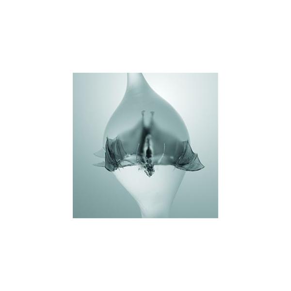 【発売日：2025年10月31日】種別:2LP 【輸入盤】 洋楽ハードロック/ヘヴィメタル 発売日:2025/10/31 登録日:2025/08/21 アンプロセスド エンジェル（ナチュラル・クリア） 内容:［LP1 ： Side A］1....