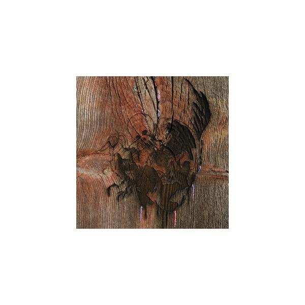 【発売日：2014年04月08日】種別:LP 【輸入盤】 洋楽ロック 発売日:2014/04/08 登録日:2014/02/19 エイヴィ・テアズ・スラッシャー・フリックス エンター・ザ・スラッシャー 内容:1. A Sender2. Du...