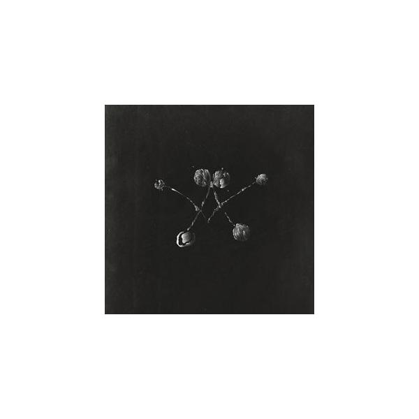 【発売日：2016年08月12日】種別:CD 【輸入盤】 洋楽ロック 発売日:2016/08/12 登録日:2016/04/26 ウォーター・ストライダー ナウホエア・ナウ 内容:1. White Light2. Redwood3. Sou...