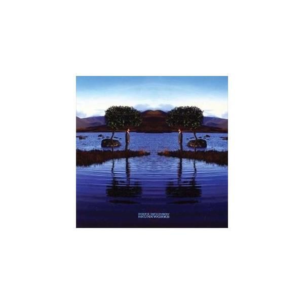 【発売日：2017年11月03日】種別:2LP 【輸入盤】 洋楽ハードロック/ヘヴィメタル 発売日:2017/11/03 登録日:2017/10/11 ブルース・ディッキンソン スカンクワークス 内容:［LP 1 ： Side A］1. S...