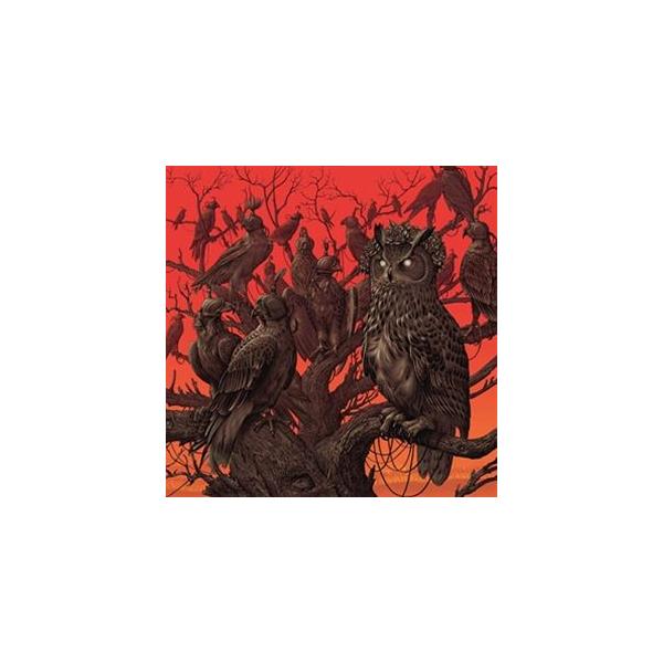 【発売日：2023年09月08日】種別:2LP 【輸入盤】 洋楽ハードロック/ヘヴィメタル 発売日:2023/09/08 登録日:2023/06/29 クヴァラータク エンドリング 内容:［LP1 ： Side A］1. Kroterveg...