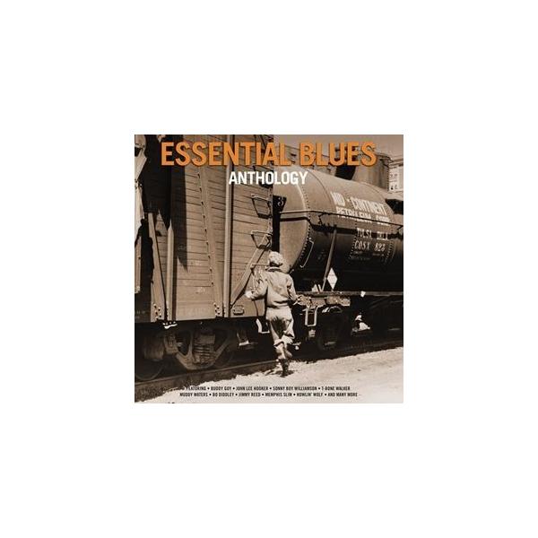【発売日：2024年06月14日】種別:2LP 【輸入盤】 洋楽ブルース/ゴスペル 発売日:2024/06/14 登録日:2017/08/24 ヴァリアス エッセンシャル・ブルース・アンソロジー