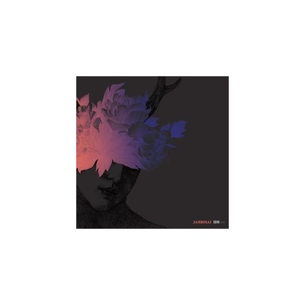 【発売日：2016年06月17日】種別:CD 【輸入盤】 洋楽ロック 発売日:2016/06/17 登録日:2016/03/31 ジャムビナイ エルミタージュ 内容:1. Wardrobe2. Echo of Creation3. For ...