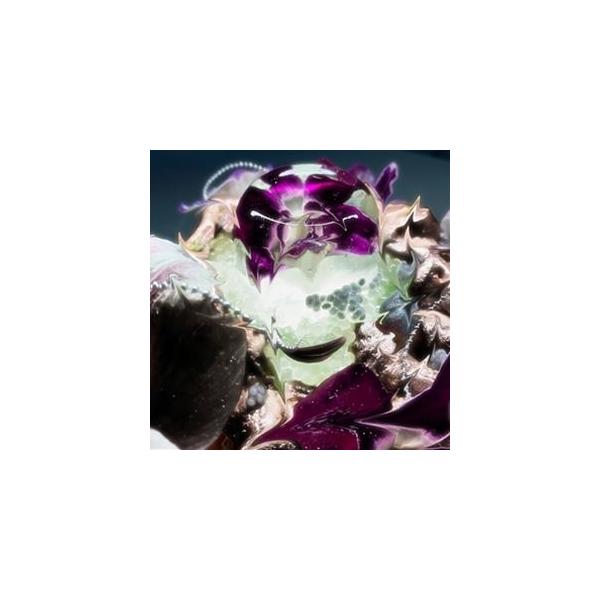 【発売日：2025年10月10日】種別:LP 【輸入盤】 洋楽ポップス 発売日:2025/10/10 登録日:2025/08/15 ドラゴンガール ホット・ブルー 内容:［Side A］1. pink music2. prophecy gi...