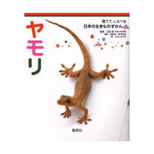 本 ISBN:9784082200107 疋田努／監修 佐藤裕／撮影 関慎太郎／撮影 Cheung＊ME／絵 出版社:集英社 出版年月:2006年02月 サイズ:39P 27cm 児童 ≫ 学習 [ 動物・植物・魚・虫 ] ヤモリ ソダテテ...