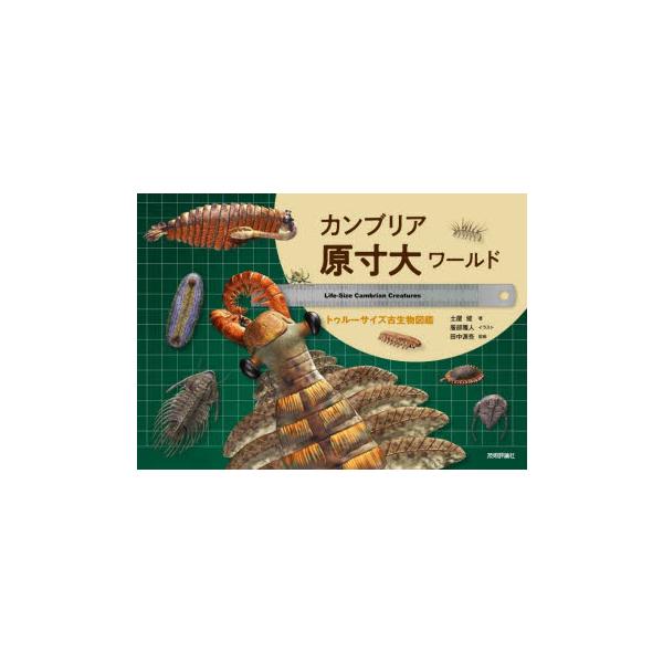 本 ISBN:9784297157579 土屋健／著 服部雅人／イラスト 田中源吾／監修 出版社:技術評論社 出版年月:2026年07月 サイズ:159P 19×26cm 理学 ≫ 地学 [ 地質学 ] カンブリア ゲンスンダイ ワ-ルド ...