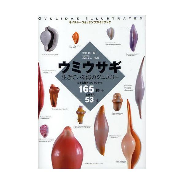 本 ISBN:9784416810163 飯野剛／編 高田良二／監修 出版社:誠文堂新光社 出版年月:2010年02月 サイズ:224P 21cm 趣味 ≫ アウトドア [ フィールド図鑑 ] ウミウサギ イキテ イル ウミ ノ ジユエリ-...
