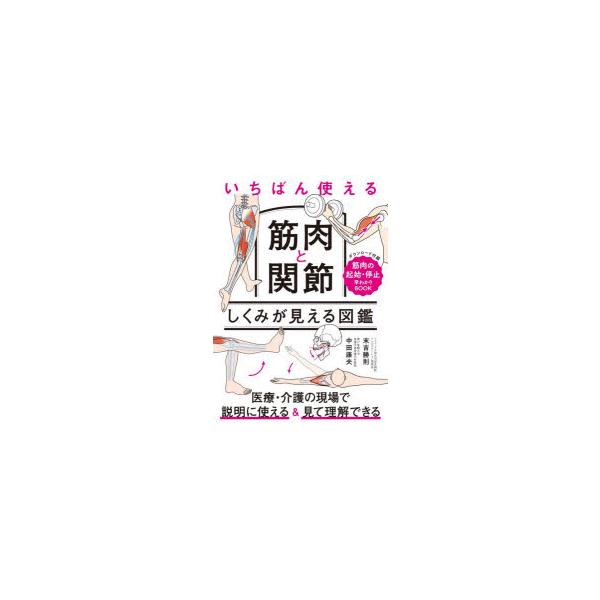 本 ISBN:9784522443507 末吉勝則／監修 中田康夫／監修 出版社:永岡書店 出版年月:2026年04月 サイズ:223P 21cm 医学 ≫ 基礎医学 [ 基礎医学その他 ] イチバン ツカエル キンニク ト カンセツ シク...