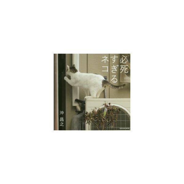 本[ムック] ISBN:9784777819454 沖昌之／著 出版社:辰巳出版 出版年月:2025年12月 サイズ:1冊（ページ付なし） 16×16cm 生活 ≫ ペット [ 猫 ] ヒツシ スギル ネコ タツミ ムツク タツミムック 登...