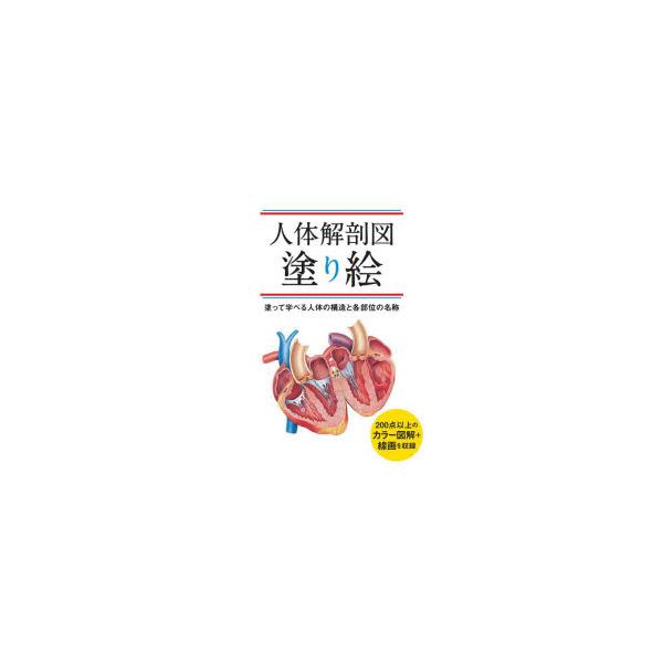 本 ISBN:9784798634920 戸坂藤子／訳 出版社:ホビージャパン 出版年月:2024年04月 サイズ:222P 26cm 趣味 ≫ パズル・脳トレ・ぬりえ [ ぬりえ ] 原タイトル：Human Body Colouring ...