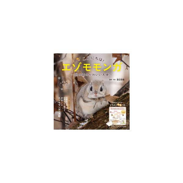 本[ムック] ISBN:9784834791815 渡辺浩徳／監修・写真 出版社:ブティック社 出版年月:2026年07月 サイズ:79P 21×21cm 児童 ≫ 学習 [ 動物・植物・魚・虫 ] コンニチワ エゾモモンガ キタ ノ モリ...