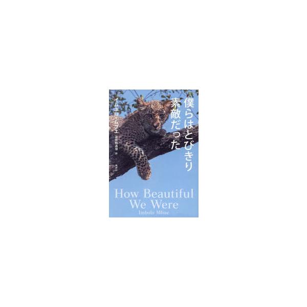 本 ISBN:9784894890305 イムボロ・ムブエ／著 波佐間逸博／訳 出版社:風響社 出版年月:2025年01月 サイズ:356P 21cm 文芸 ≫ 海外文学 [ その他海外文学 ] 原タイトル：HOW BEAUTIFUL WE...